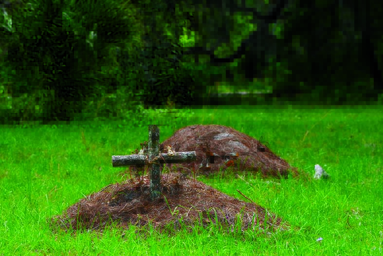 More people are considering ‘greener’ death options | News | Jamaica ...