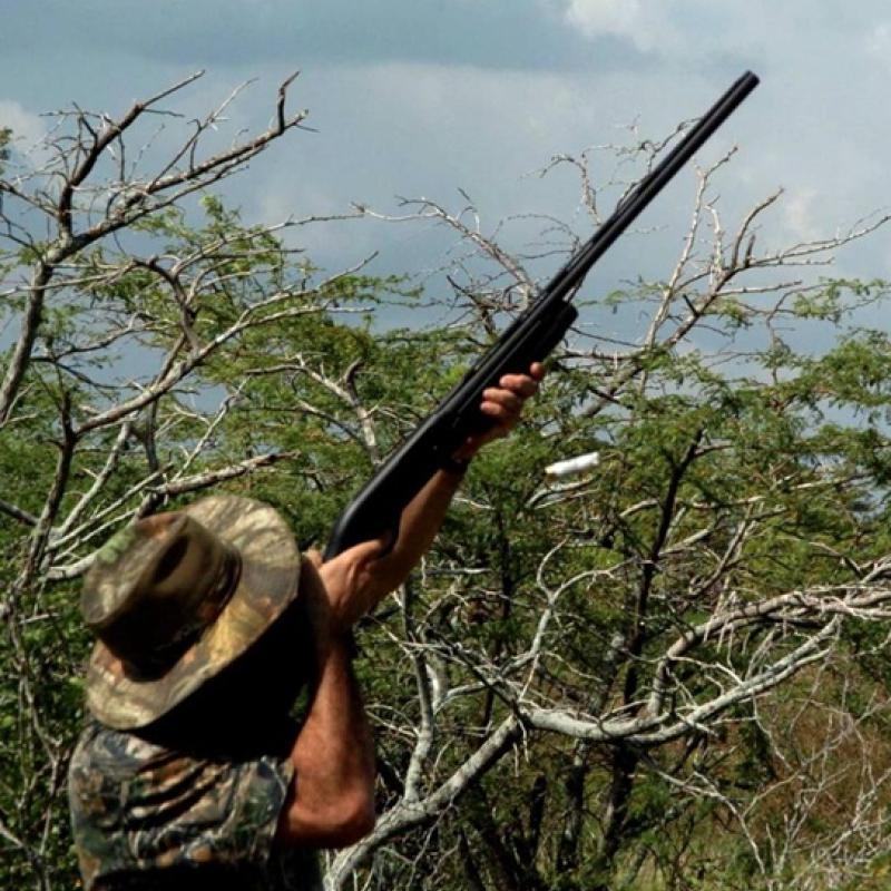 Report exposes data fabrication, missing ammo and server failures at ...