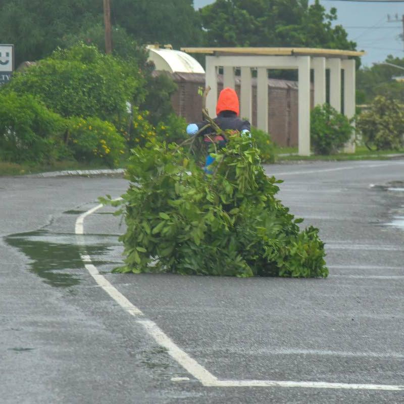 Big storms deepen poverty, food insecurity for Jamaicans, says World ...