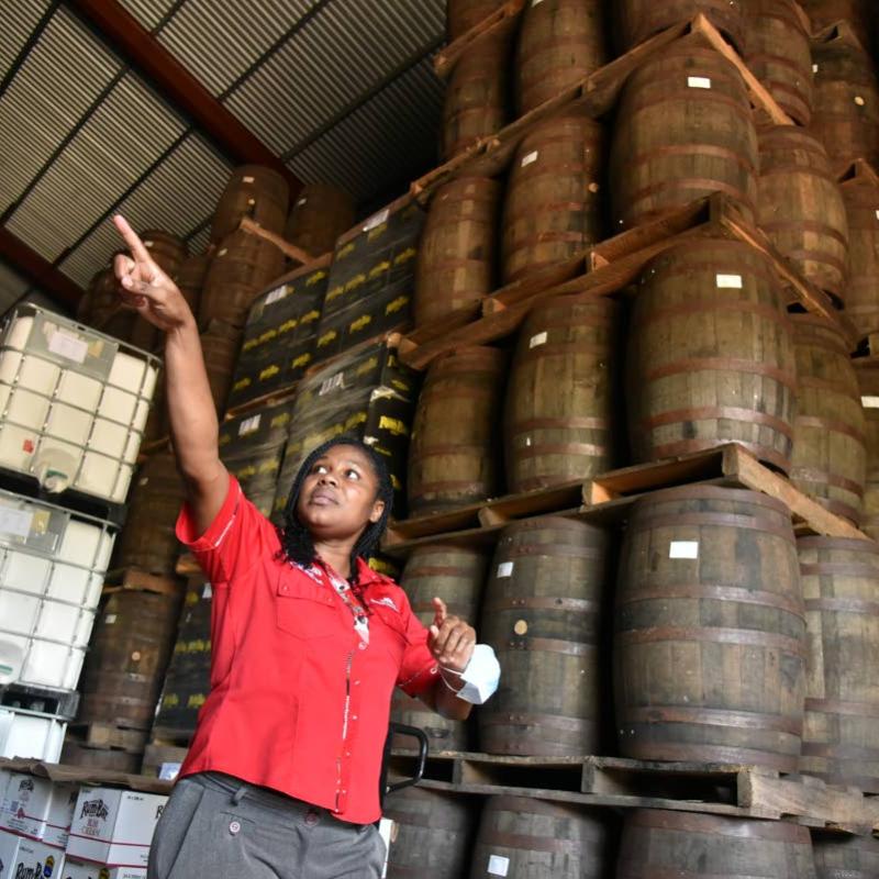 Rum industry takes a shot | Business | Jamaica Gleaner