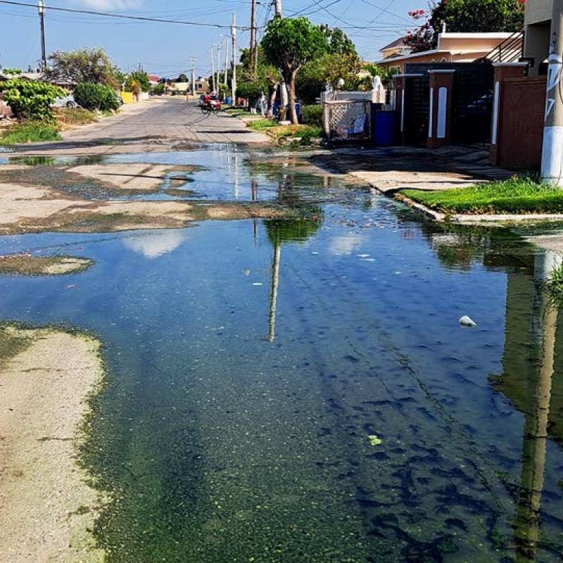 Portmore residents press NWC over water, sewage issues | News | Jamaica ...