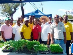 RADA organises farmers' market in Lucea | Western Focus | Jamaica Gleaner