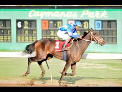 Paul Wright | Time to fix horse racing in Jamaica | Sports | Jamaica ...