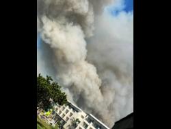 Negril morass fire leaves bitter taste as UN rehab stalls | Lead ...