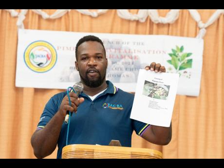 JACRA distributes over 200 pimento seedlings in St Thomas | News ...