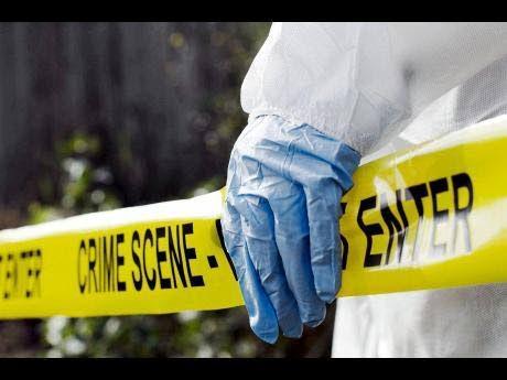 Decomposing body of farmer found in St Ann | News | Jamaica Gleaner